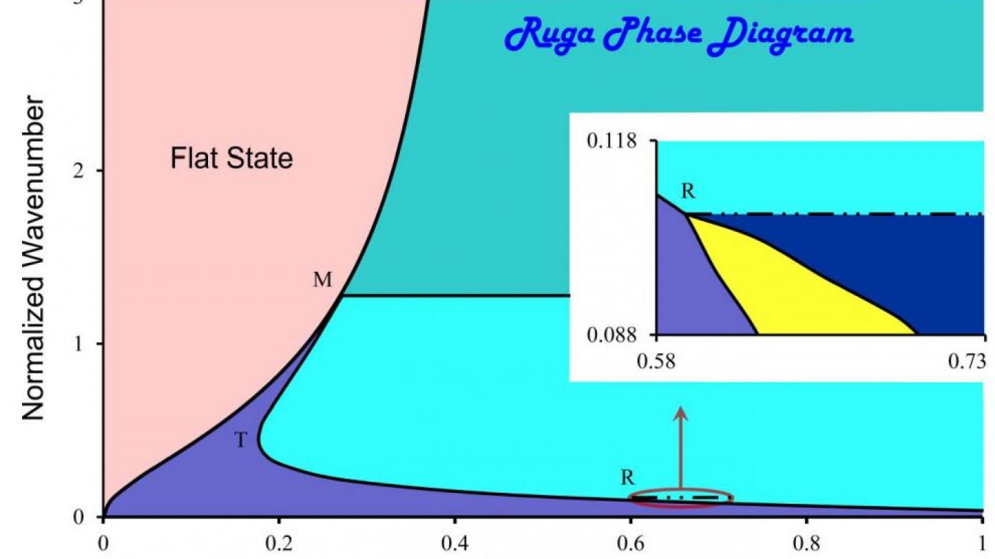 Origins and uses of wrinkles, creases, folds | Engineering | Brown ...