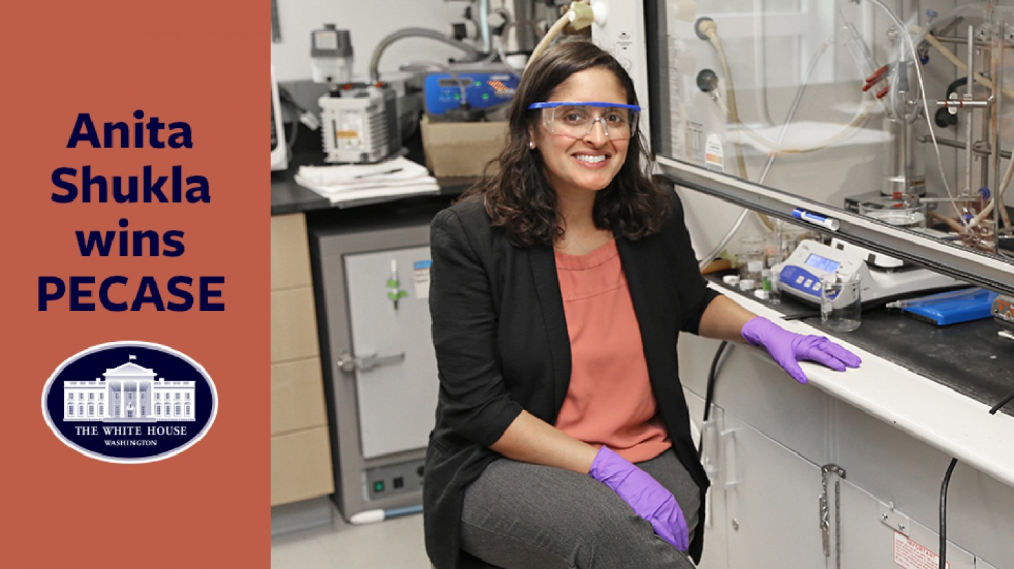 Anita Shukla earns top White House award for early-career scientists ...