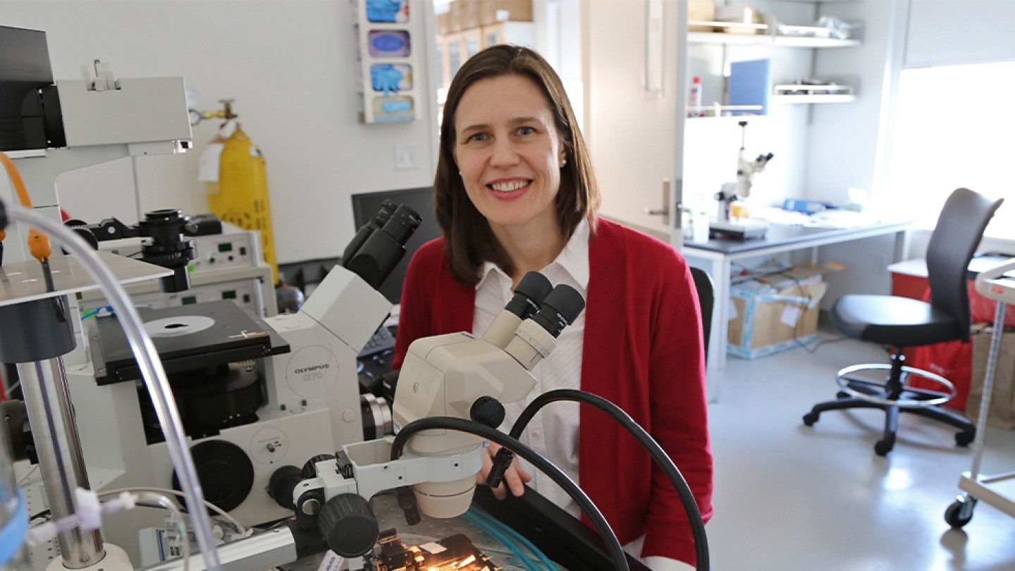 Coulombe earns NSF CAREER Award | Engineering | Brown University