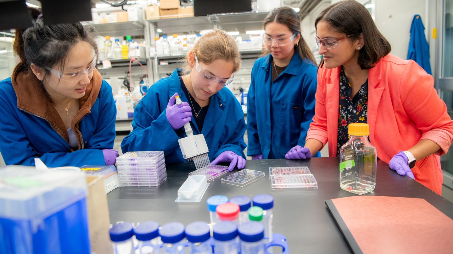 Advising | Engineering | Brown University