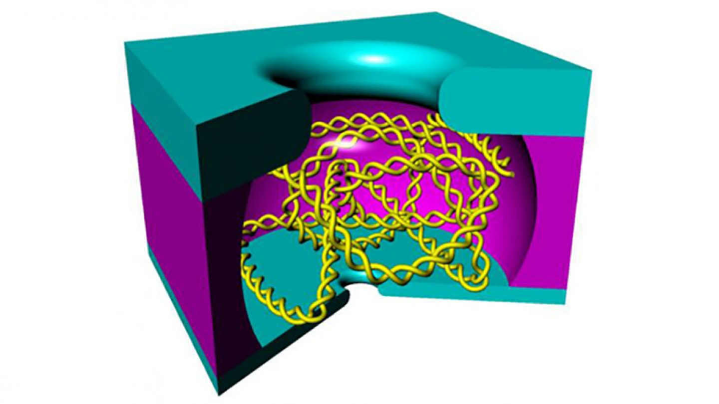 DNA ‘cage’ could improve nanopore technology | Engineering | Brown ...